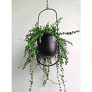 RISEON Boho Black Metal Plant Hanger,Metal Wall and Ceiling Hanging Planter, Modern Planter, Mid Century Flower Pot Plant Holder, Minimalist Planter for Indoor Outdoor Home Decor
