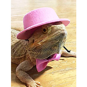 Valentine's Day Lizard Leash Harness Hat Bowtie Set - Bearded Dragon Valentine's Day Hat+Bowtie+3 Pack Reptile Harness Leash for Bearded Dragon Iguana Amphibians Small Animal Clothes Outfit (Pink)