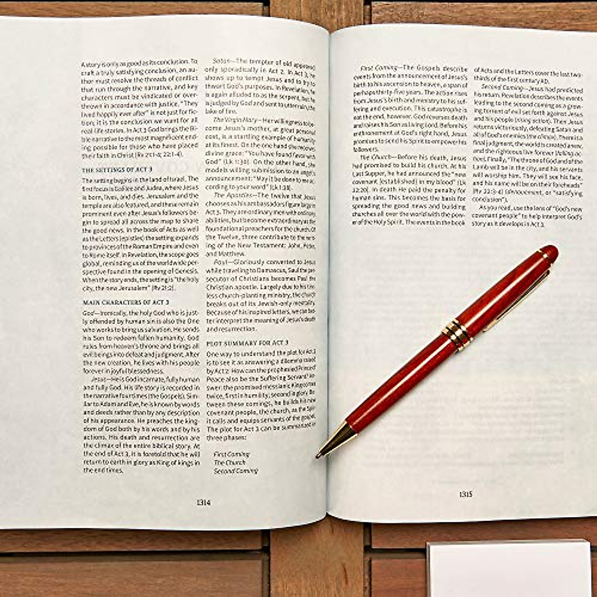 CSB Day-by-Day Chronological Bible, TradePaper, Black Letter, 365 Day, One Year, Reading Plan, Single-Column, Easy-to-Read Bible Serif Type