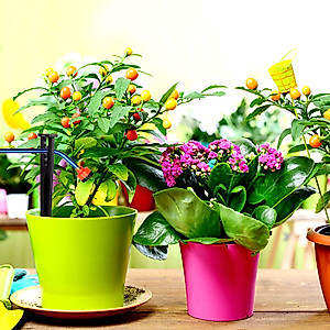 100 Pieces Irrigation Drip Support Stakes for 1/4 Inch Pipe Universal Drip Tubing Hold Stakes Plastic Drip Hose Stakes for Irrigation, Greenhouse, Garden, Christmas Light Yard Stakes