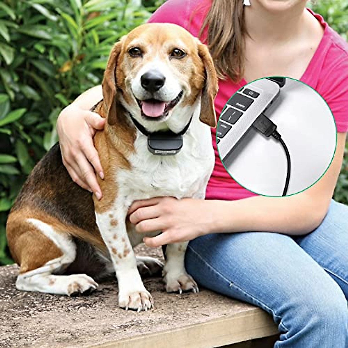 Lnauy Charger for PetSafe Receiver - 4 Ft USB Charging Cable ...