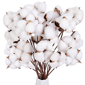 DomeStar 30PCS Cotton Stems, 15" Natural Dried Cotton 120 Cotton Balls Cotton Sprigs Cotton Blooms Floral Stems for Vase Fillers