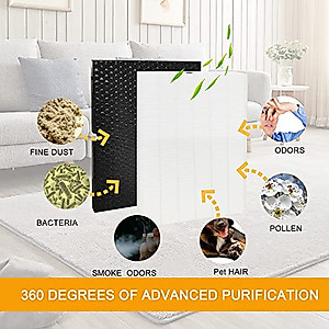 IZSOHHOME Compatible with Winix 5500-2 Air Purifier and Model AM80,Part# Winix 116130, H13 Filter,2+2True HEPA(2 Sets)