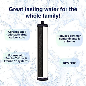 Doulton W9223021 UltraCarb Ceramic Water Filter Candle, White, Pack of 1