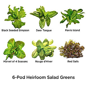 AeroGarden Harvest Elite - Stainless Steel & Heirloom Salad Greens Seed Pod Kit, 6