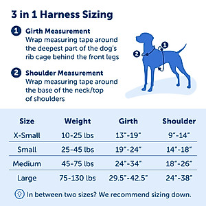 PetSafe 3 in 1 Dog Harness - No Pull Solution for Dogs - Reflective Dog Harness - Front D-Ring Clip Helps Stop Pulling - Comfortable Padded Straps - Top Handle Enhances Control - Plum - Extra Small