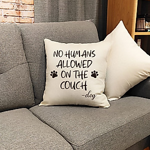 No Humans Allowed on The Couch Dog, Dog Lovers Gift Decorative, Throw Pillow Cover, Funny Dog Owner Gifts, Christmas Birthday Gift, Square Pillowcase Decoration for Sofa Bedroom-8L109