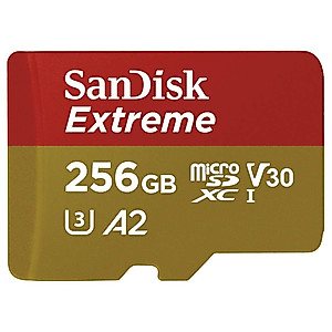 SanDisk Extreme 256GB MicroSD Card for GoPro Works with GoPro Hero 10 Black Camera UHS-1 U3 / V30 A2 4K Class 10 SDSQXA1-256G-GN6MN Bundle with 1 Everything But Stromboli Micro SD Memory Card Reader