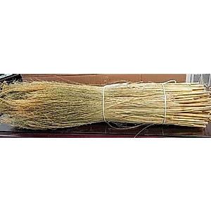 Craft Broom Corn with Stalks 24-36" Length…