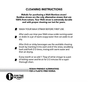 Natural Bamboo Straws (6)