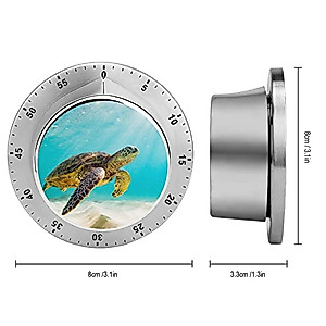 Kitchen Timer Blue Turtle Cooking Timer No Batteries Required Magnetic Countdown/Up Clock