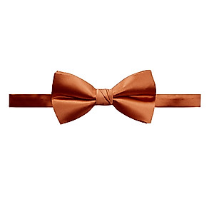 Spring Notion Men's Solid Color Satin Microfiber Bow Tie Rust