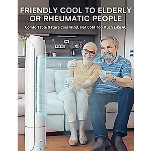 Evaporative Air Cooler Windowless - COMFYHOME 3 IN 1 Portable Evaporative Cooler, 3 Speeds, 60°Oscillation, 12H Timer & Remote, Personal Cooling Fan, Room Air Conditioner for Bedroom Home Office, 43In