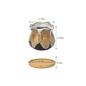 Warmplus Small Succulent Plant Pots - Mini Ceramic Cactus Planter Pots with Drainage, Flowing Glaze Base Serial Set with Holes, Home, Office Decor, Pack of 6 (Plants Not Included)