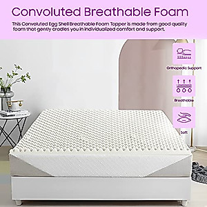 Mayton Convoluted Egg Shell 1-inch Breathable Foam Bed Topper | Makes Mattresses Comfortable and Relaxing, Provides Faster Pain Relief, and Provides Orthopedic Beneficial Support, Twin, White