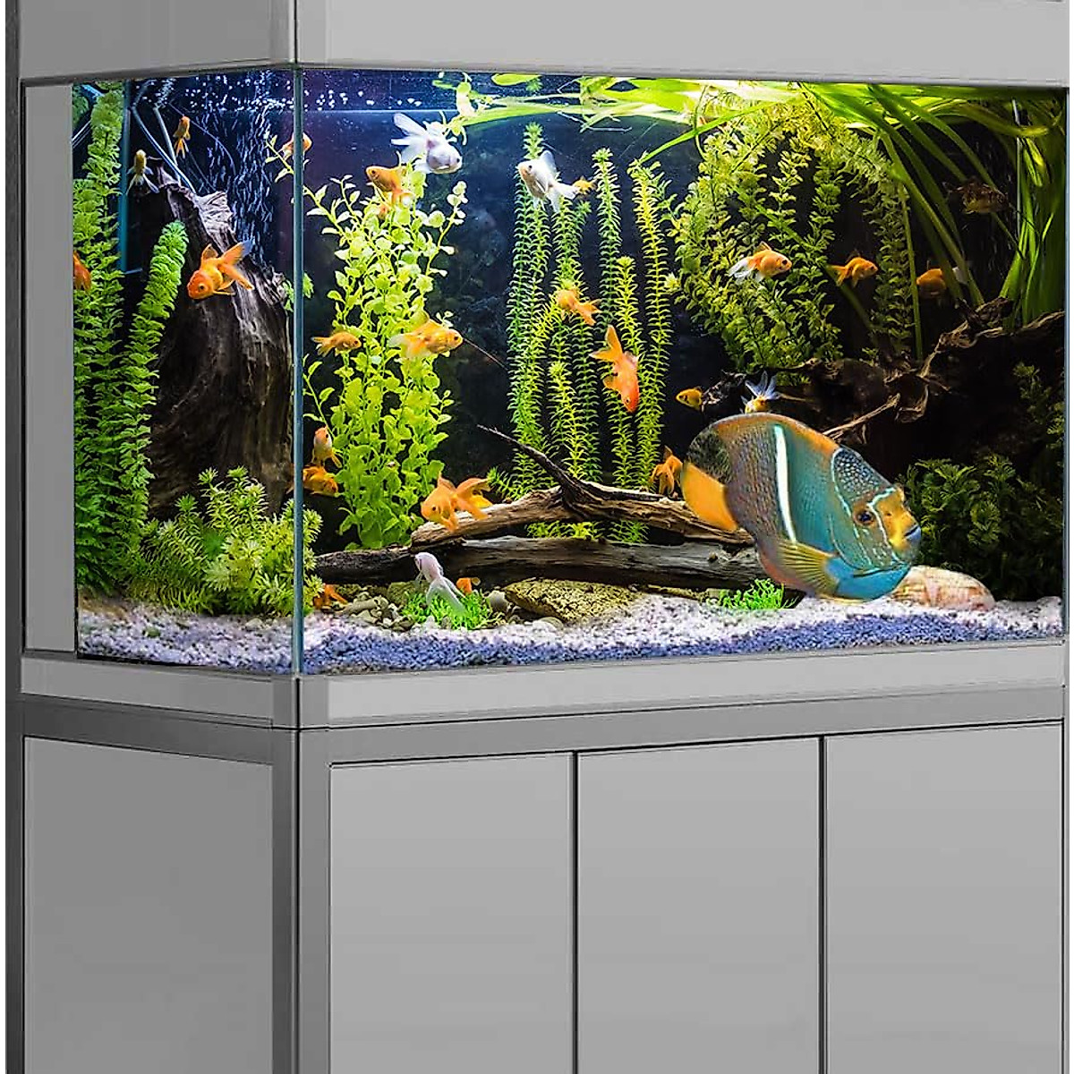 Dizifinn Aquarium Background, River Bed & Lake Tropical Undersea Tree Branch Aquatic Plant Fish Tank Background, 6 EVA Double-Sided Tapes 36x18 inches/90x45