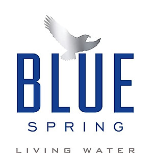 Blue Spring Living Water, Pure Premium Natural Spring Water, pH balance of 7.1-7.2, Bottled Spring Water, 16.9 Fl Oz, (Pack of 12)