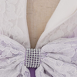 Dressy Daisy Baby Girls Wedding Flower Girl Lace Dress with Headband Special Occasion Pageant Birthday Party Dresses Size 6-12 Months Purple 426