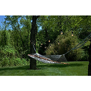 Bulbrite STRING15/E26-S14KT Outdoor, Garden, Patio, Wedding, Party, Holiday, Lawn, and Landscape String Light w/Incandescent Bulbs, 48-Feet, 15 Lights