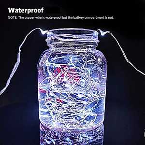 JORETLE 12 Pack LED Fairy Lights String Lights Battery Operated, 6.6ft Indoor Mini Fairy String Lights Flexible Copper Wire Firefly Lights for DIY Decoration, Wedding, Christmas, Bedroom, Party