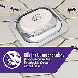 STEM Liquid Ant Baits, Kills The Queen and Colony, for Indoor Use, 12 Spill Proof Bait Stations