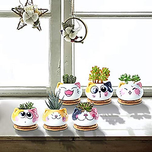 YINUOWEI Succulent Pots with Drainage 3.6 Inch Mini Cat Pots for Plants Tiny Animal Planter Small Ceramic Air Plant Flower Pots Cactus Faux Planters Containers with Bamboo Tray