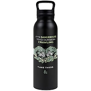 Dungeons & Dragons OFFICIAL Dangerous To Go Alone 24 oz Insulated Canteen Water Bottle, Leak Resistant, Vacuum Insulated Stainless Steel with Loop Cap