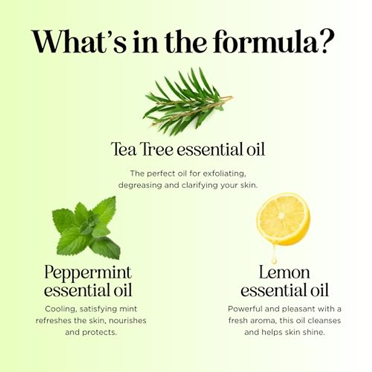 Tea Tree Oil Body Wash - Hydrating Shower Gel Tea Tree Body Wash for Women and Men - Women and Mens Body Soap with Peppermint and Tea Tree Essential Oil and Moisturizing Body Wash for Dry Skin Care