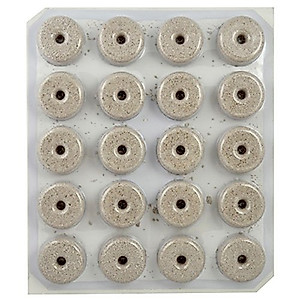 Summit Mosquito Bits and Dunks Mosquito Control Bundle