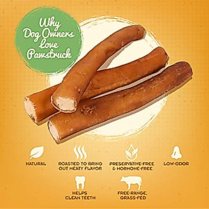 Pawstruck Bully Sticks for Dogs, Bulk Natural & Odorless Bullie - Bully Bones Made for Dog & Puppies - Best Long Lasting Odor Free Chew Dental Treats by USA Company (8 oz.)