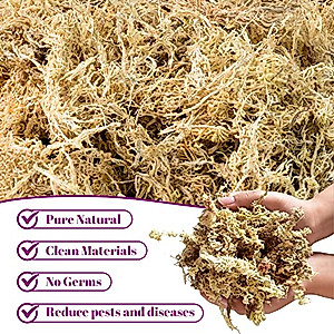 Legigo 5.3oz Premium Sphagnum Moss Potting Mix- Natural Succulent Carnivorous Plants Moss Dried, Plant Growing Medium for Orchid Succulent Sarracenia Orchid Gardening Plants Reptiles, 3 QT