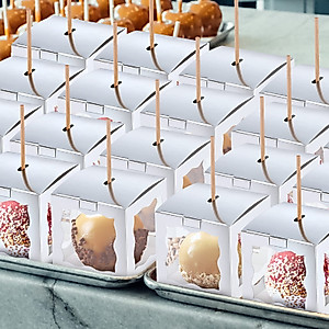 Dandat 50 Pieces 4 x 4 x 4 Inch Candy Apple Box with Hole and Stick Paper Caramel Apple Boxes Cookies Chocolate Gift Treat Boxes with Clear Windows Caramel Apple Containers for Wedding Christmas