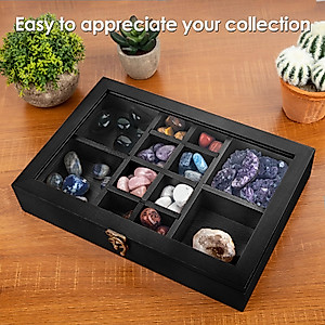 Mooncraftlogy Adjustable Rock Display Case, Crystal Collection Box with Shelves, Wood Witchy Stones Organizer Storage,Gem Holder with Lid for Seashell, Collectibles, Wiccan Gift for Women (Black)