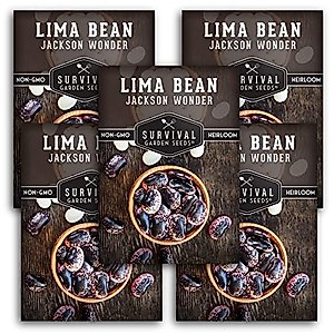 Survival Garden Seeds - Jackson Wonder Lima Seed for Planting - 5 Packs with Instructions to Plant and Grow Purple Speckled Butter Beans in Your Home Vegetable Garden - Non-GMO Heirloom Variety