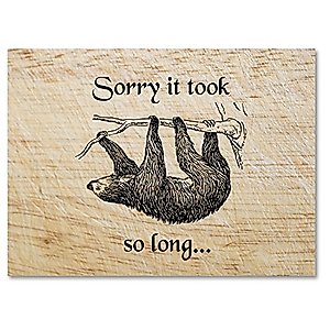 Small World Greetings Sorry It Took So Long Sloth Greeting Card 12 Count - Blank Inside with Envelopes - A2 Size (5.5"x4.25") - Belated Birthday, Late Shipment, Apology, Belated Thank You
