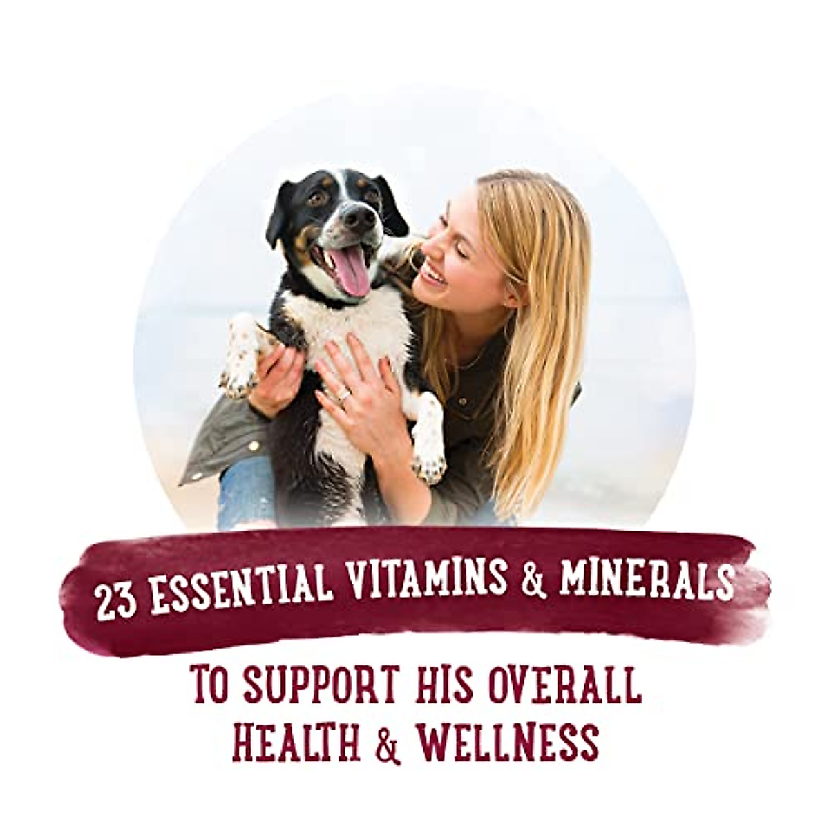 Purina Beneful High Protein, Gravy Wet Dog Food, Prepared Meals Beef Stew - (8) 10 oz. Tubs