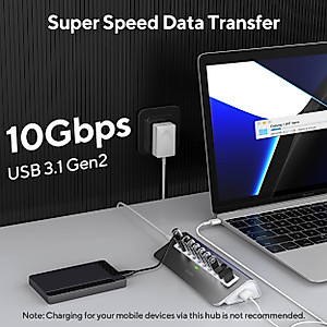 Powered USB Hub, intpw 10 Port USB 3.1 Hub with 10Gbps Data Transfer, 30W(12V/2.5A) Power Adapter, USB Type A and Type C Cable, Aluminum USB Power Hub for Laptop, MacBook and Desktop Computer