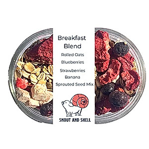 Snout and Shell Fruity Breakfast Blend Hermit Crab Dry Food - High Protein & Nutrient Blend Diet of Rolled Oats, Blueberries, Strawberry, Banana, Sprouted Seeds Mix - Aquatic Pet Snack Treat | 65g