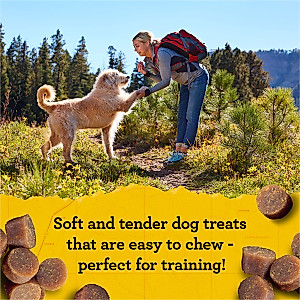 Zuke’s Mini Naturals Soft Chewy Dog Treats For Training Pouch, Natural Treat Bites With Peanut Butter And Oats - 16 oz. Bag