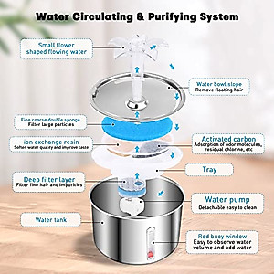 AZZXZQYU Cat Water Fountain Stainless Steel, 67oz/2L Dog Water Dispenser, Automatic Pet Water Fountain with Ultra Quiet Pump and Water Level Window for Cats,Dogs,Multiple Pets