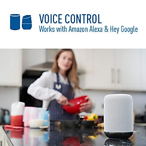 Cree Connected Max Smart Led Vintage Glass Filament Bulb B11 Candelabra 40W Tunable White, 2.4 Ghz, Works with Alexa and Google Home, No Hub Required, Bluetooth + WiFi, 1Pk (Cmb11-40W-Al-9Tw-Gl)