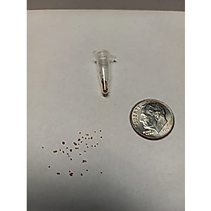 Totmons Lithops Seeds Mix (Rare Bonsai Desert Cactus Aizoaceae Mesembs Mimicry Succulent Stone Plants)