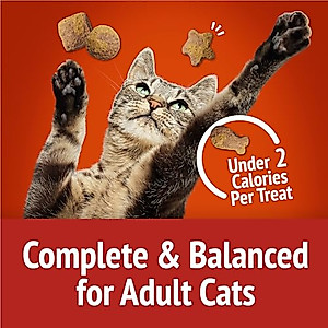 Purina Friskies Cat Treats, Party Mix Gravy-licious Crunch Chicken and Gravy Flavors - 20 oz. Pouch