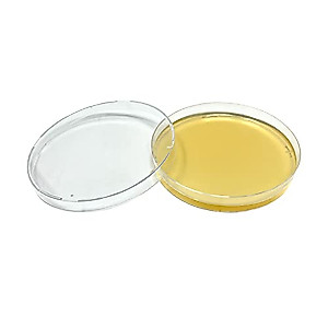 Olympus Myco Sorghum Yeast Extract Agar Plates for Mushroom Cultivation and Science Experiments (10 Sterile Pre-Poured Agar Plates)