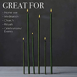 Danilovo Pure Beeswax Candles - No-Drip, Smoke-Less, Tall, Thin Taper Candles – Decorative Candles for Church Prayer, Decor or Birthday Candles – Honey Scented Candles – 7.3”x0.24” (Green, 50pcs)