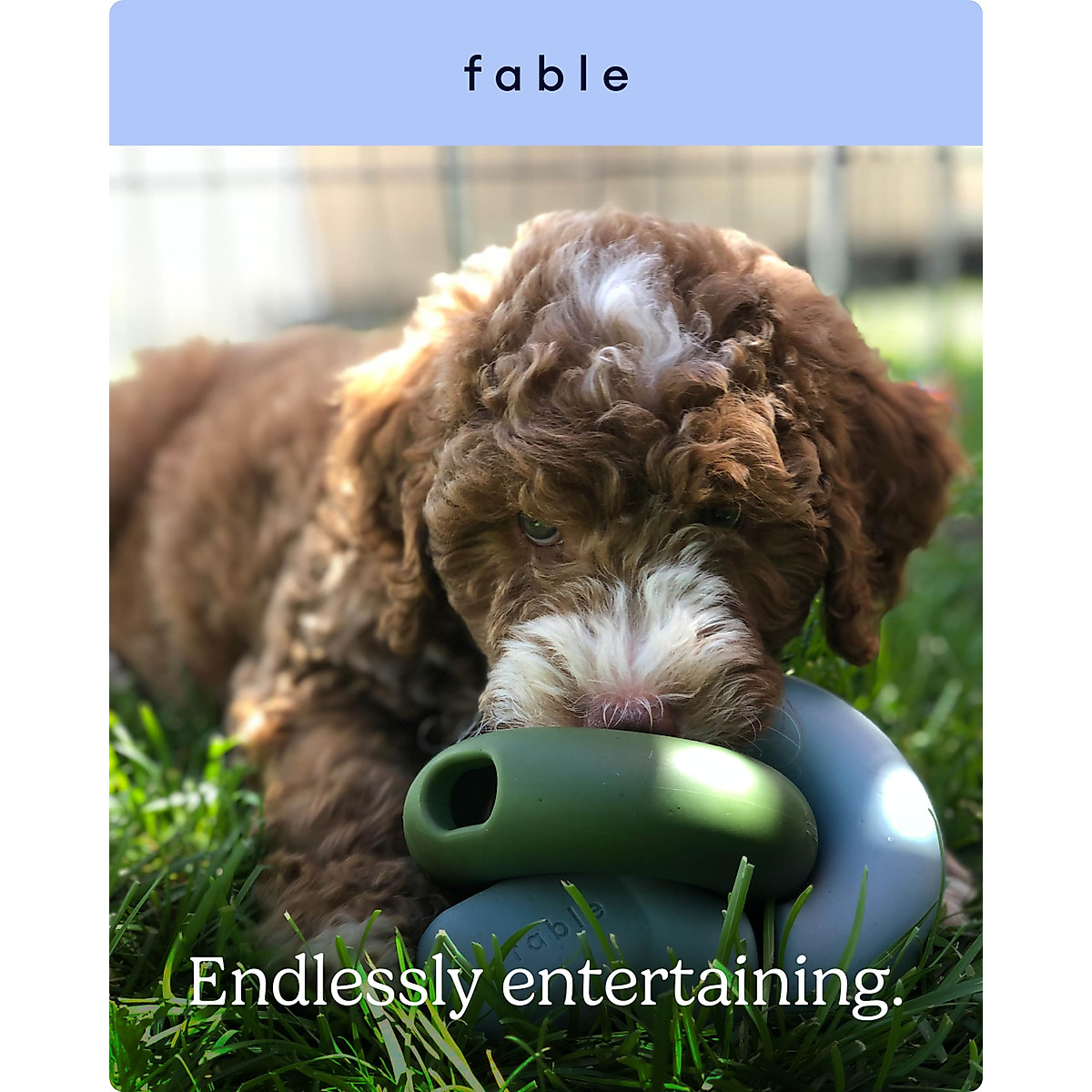 FABLE The Falcon Treat Dispensing Dog Toy Interlocking Design - 2 Cavity Dog Toy Treat Dispenser for Dry Food & Spreads - Dog Treat Toys Interactive & Solo Play - No BPA Dog Treat Toy - Light Blue