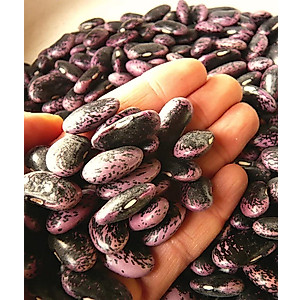 Gaea's Blessing Seeds - Scarlet Runner Bean Seeds - Non-GMO Seeds for Planting with Easy to Follow Instructions 94% Germination Rate