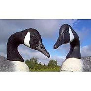 Canada Goose Head Decoy Flocking Kit - 50 Heads