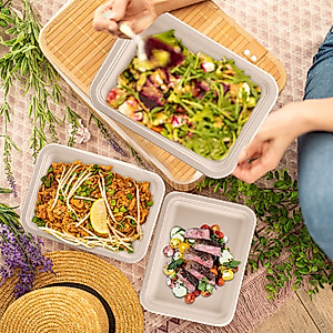 Lawei 50 Pack 14 Inch Biodegradable Paper Plates, Rectangle Compostable Disposable Food Trays 100% Heavy-Duty Sugarcane Bagasse Paper Platter for Seafood, BBQ, Picnic, Party