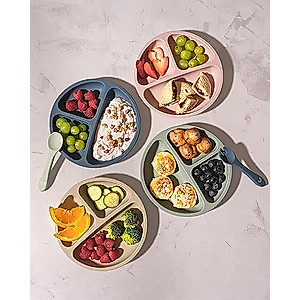 Hippypotamus Toddler Plates with Suction - Baby Plates - 100% Food-Grade Silicone Divided Plates - BPA Free - Dishwasher Safe - Set of 3 (Sage/Blush/Nude) (Fog/Nude/Sage with LIDS)